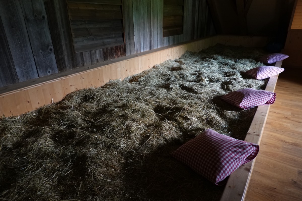 Day 7 – The Hay Loft – Pilgrimage