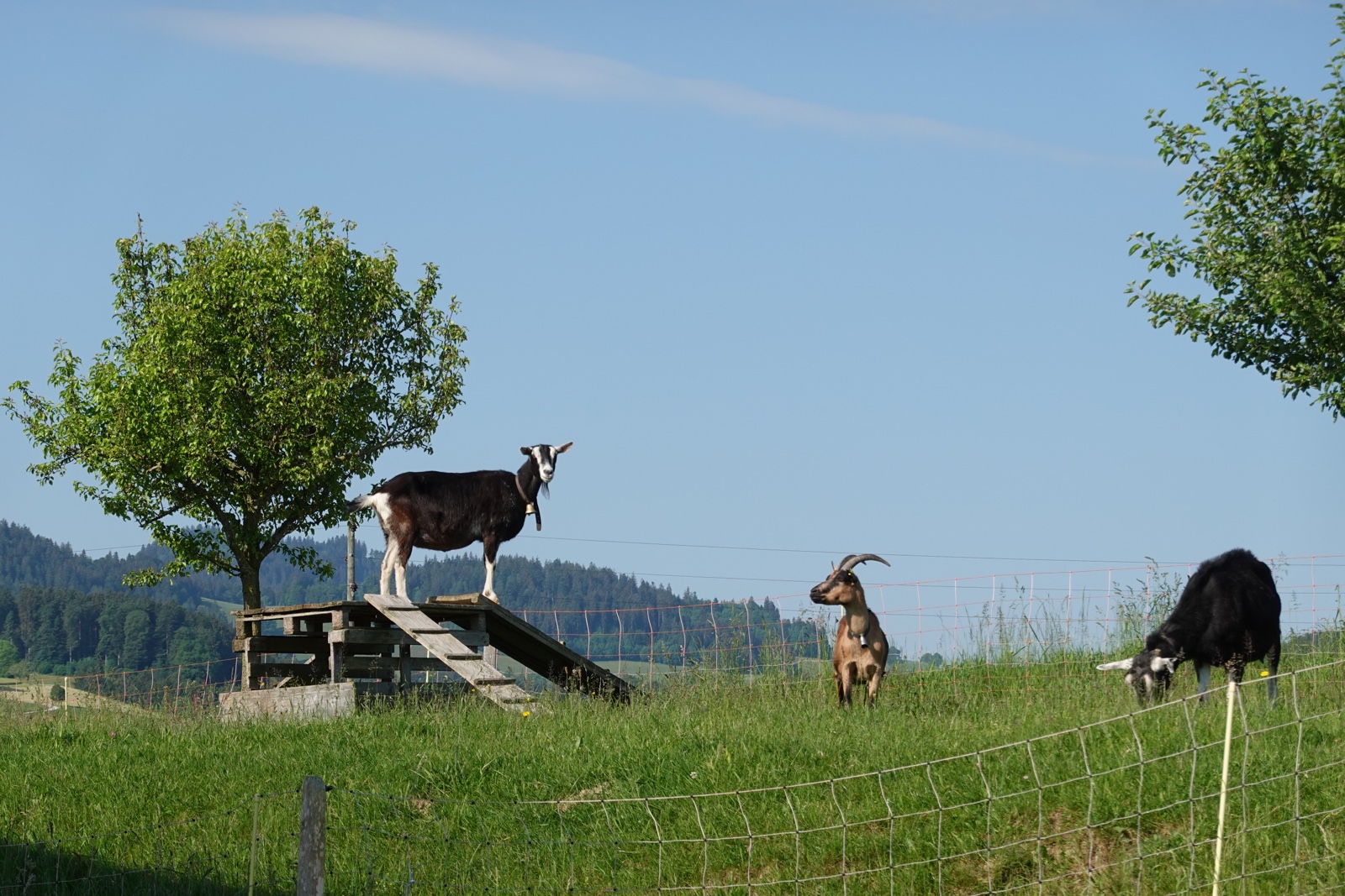 Day 12 – Into the French Zone – Pilgrimage